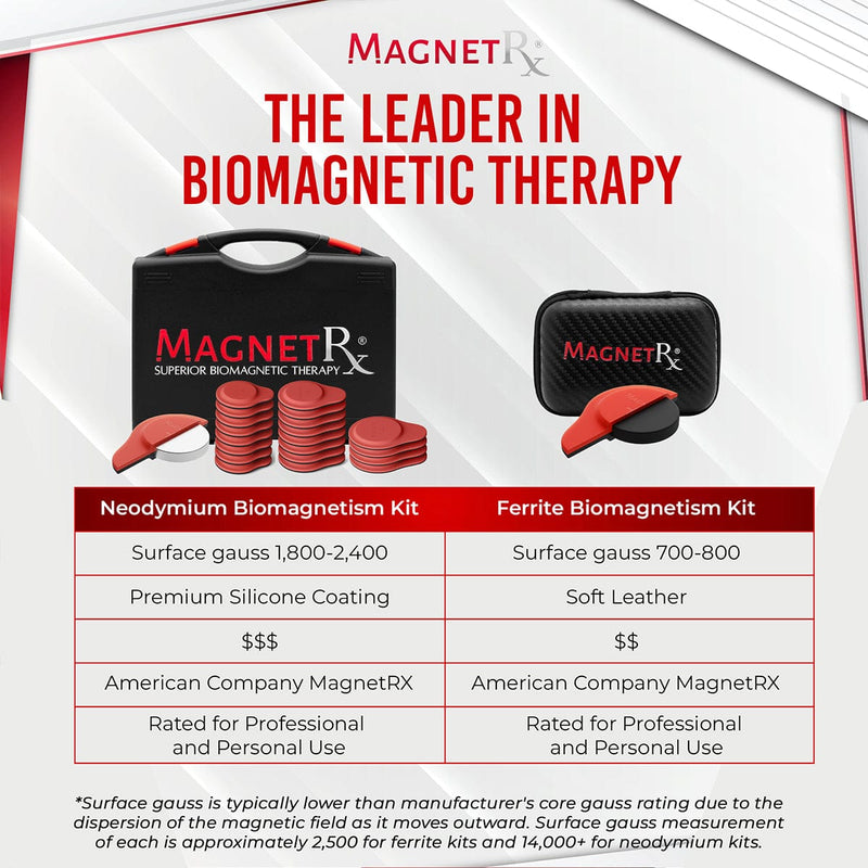 Biomagnetic Therapy Magnet Kit — Neodymium & Silicone (20 Mixed Units)