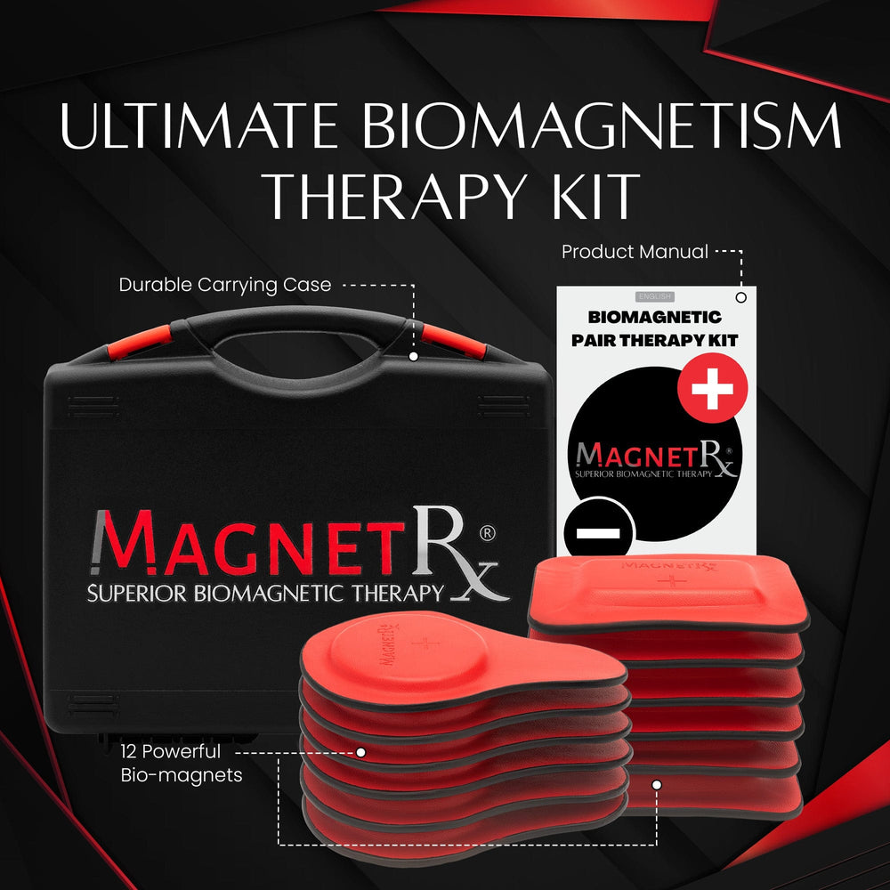 Biomagnetic Magnet Kit Ferrite Leather - MagnetRX