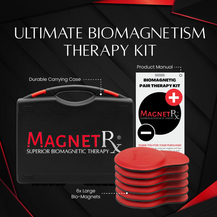 Biomagnetic Therapy Magnets Set (Large 6 Units)